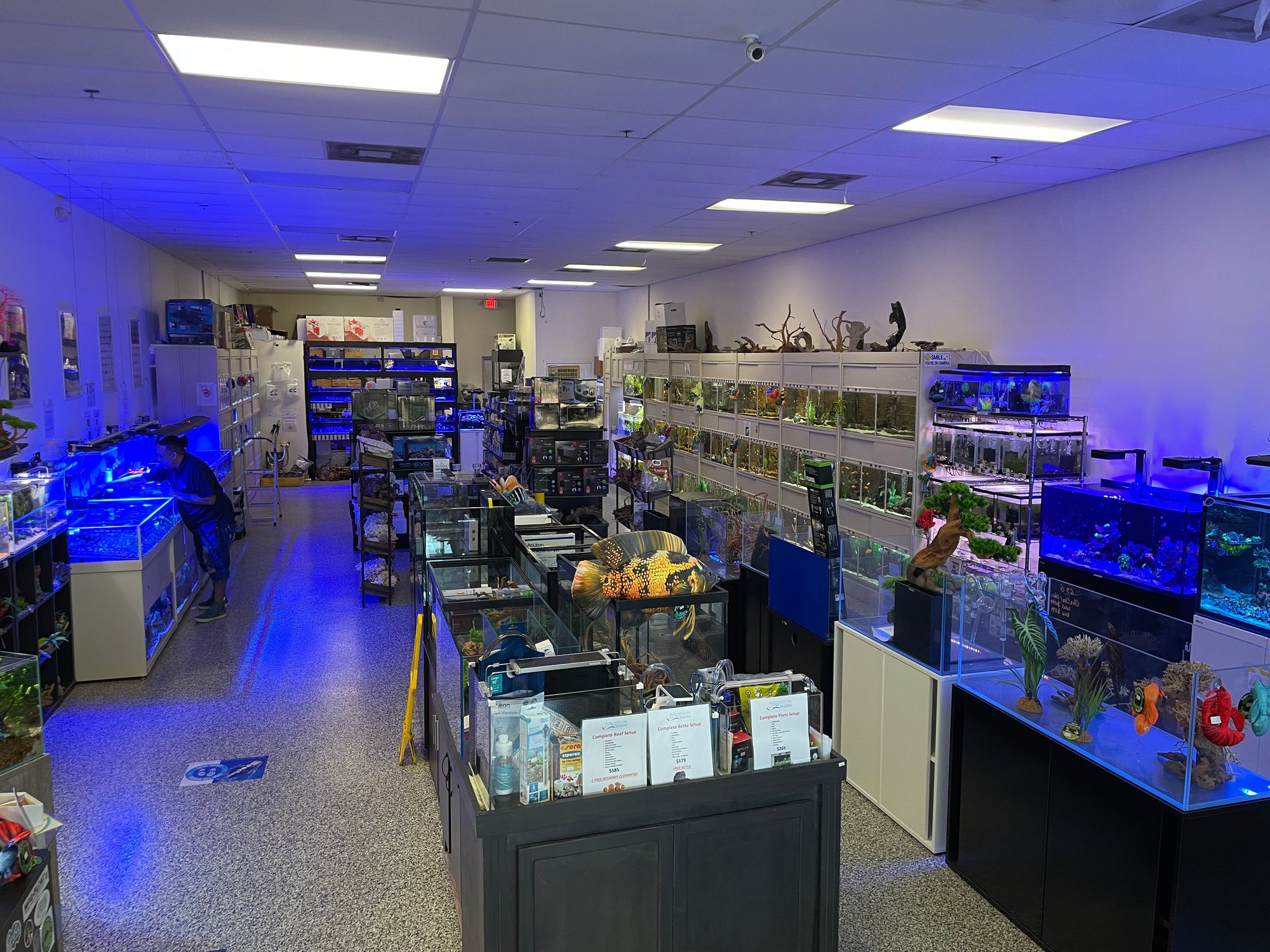Aquarium Show - One Stop Fish Store
