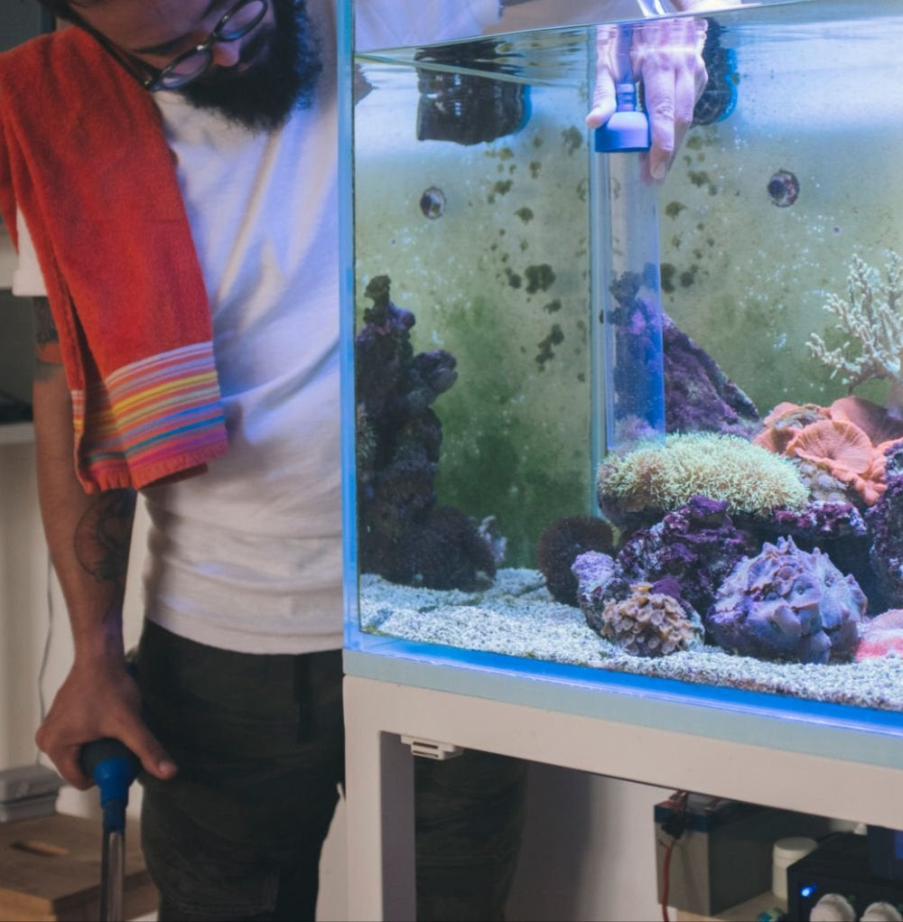 Aquarium Maintenance – Aquarium Show