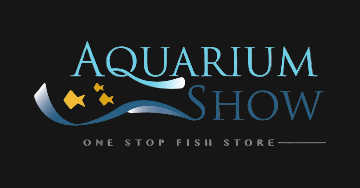 Aquarium Show - One Stop Fish Store